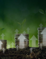 Green Transition Finance Green Transition Finance